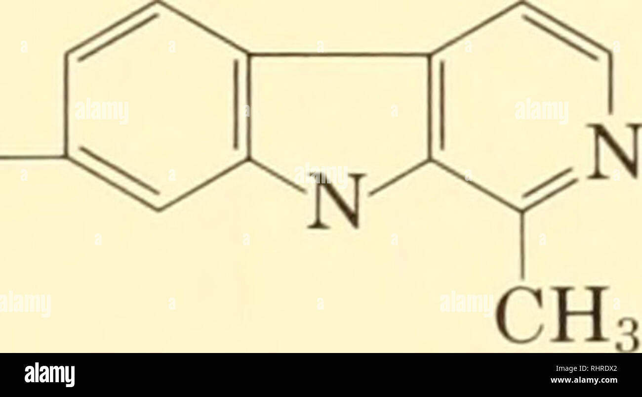 . Biochemical systematics. Biochemical variation; Botany. ALKALOIDS 161 ...