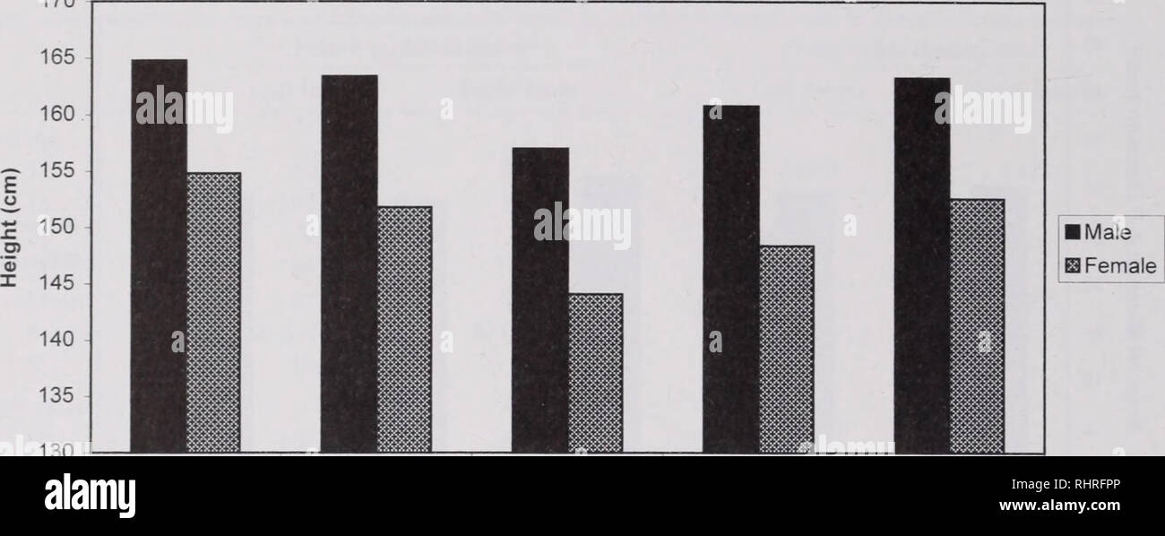 Robusticity hi-res stock photography and images - Alamy