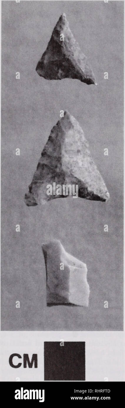 . Bioarchaeology of the late prehistoric Guale : South End Mound I, St ...