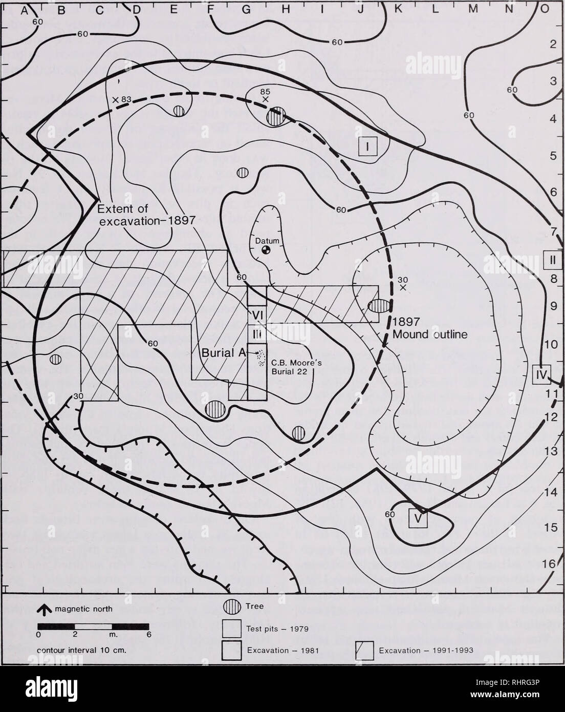 . Bioarchaeology of the late prehistoric Guale : South End Mound I, St ...