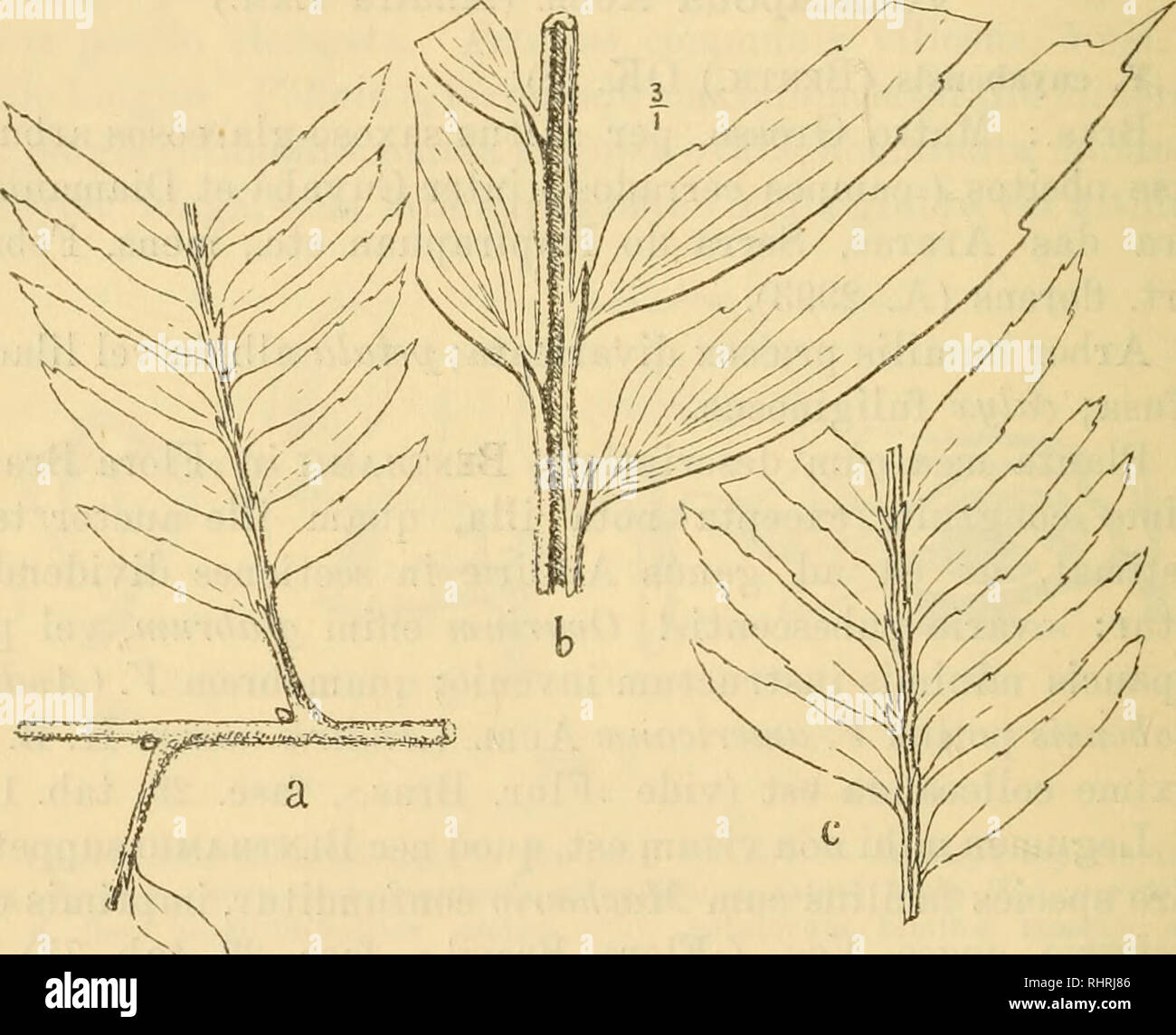 Sterilia hi-res stock photography and images - Alamy