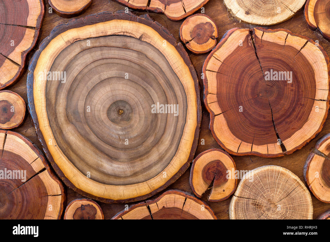 Round wooden unpainted solid natural ecological soft colored brown and ...