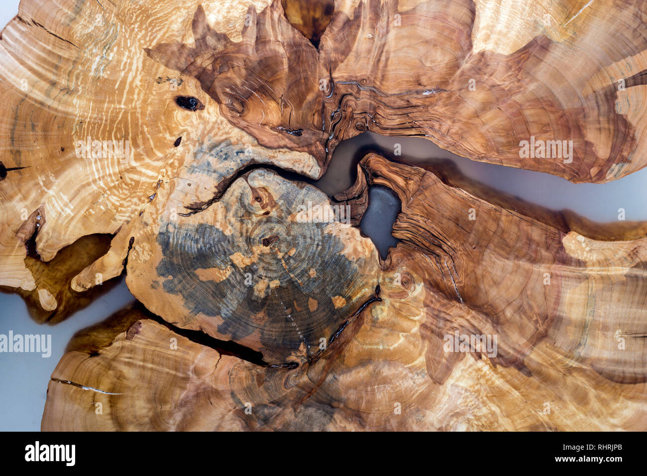 Tree cut slice section, uneven shape, natural texture, soft colored ...