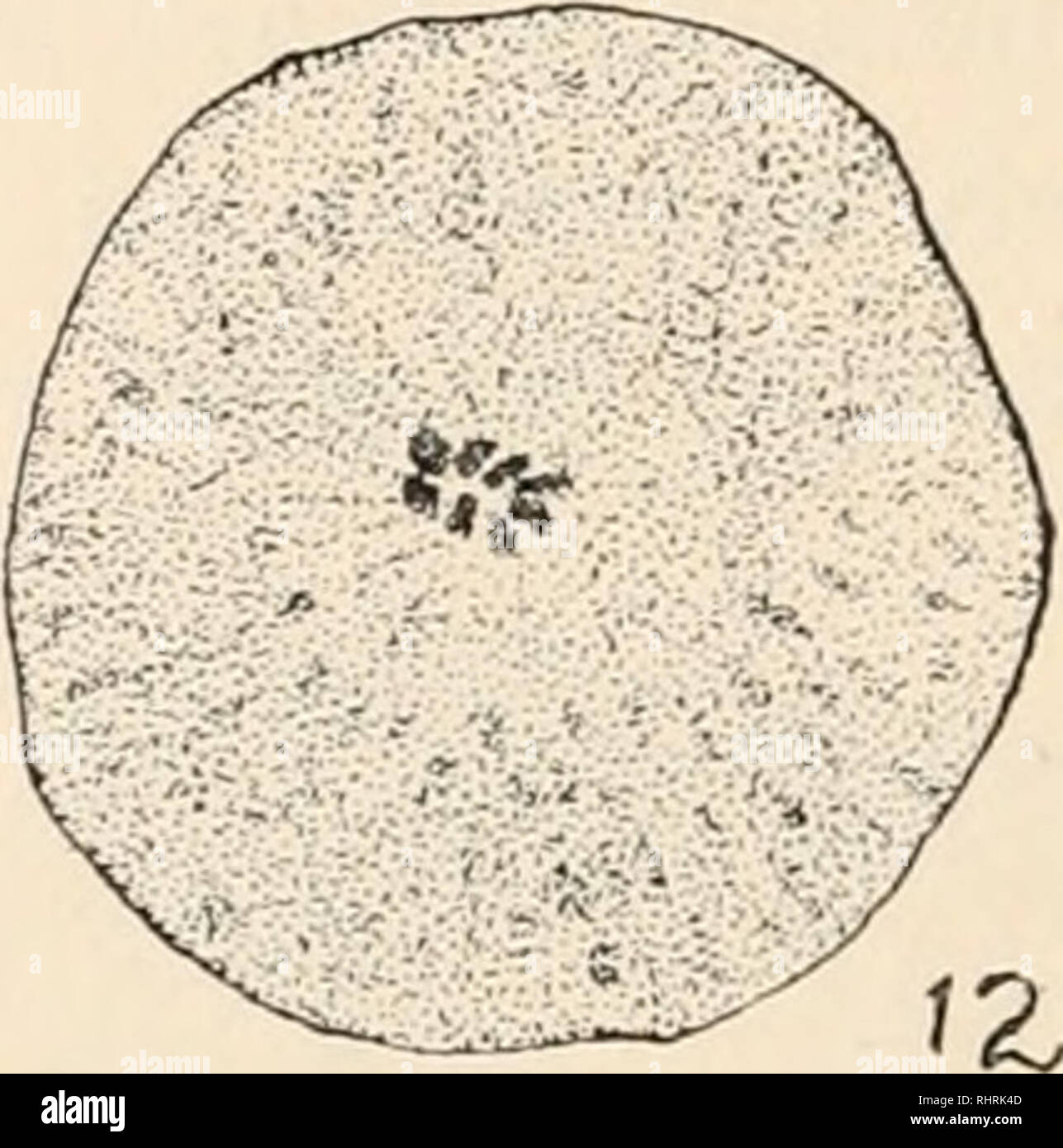 . The Biological bulletin. Biology; Zoology; Biology; Marine Biology ...