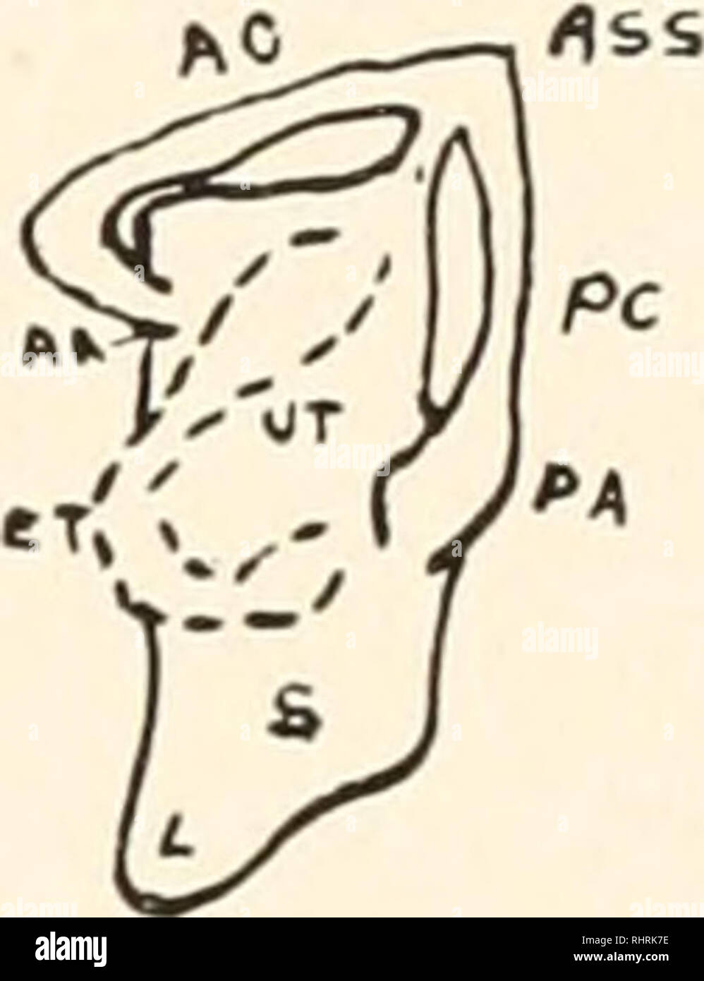 . The Biological bulletin. Biology; Zoology; Biology; Marine Biology ...