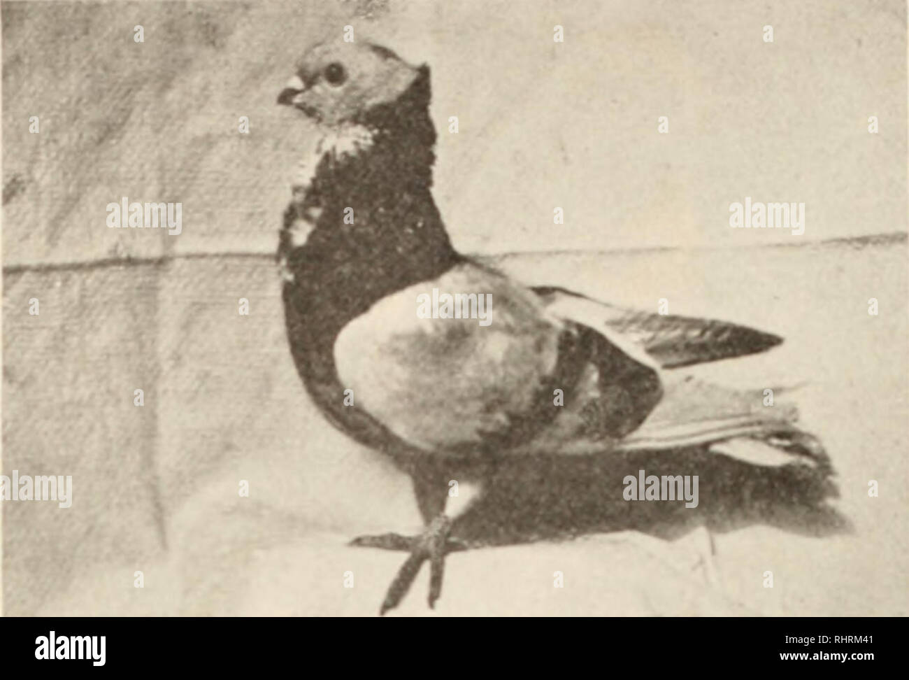 C t titan hi-res stock photography and images - Alamy