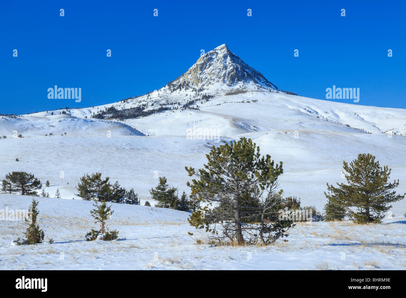 Mt d8490 hi-res stock photography and images - Alamy