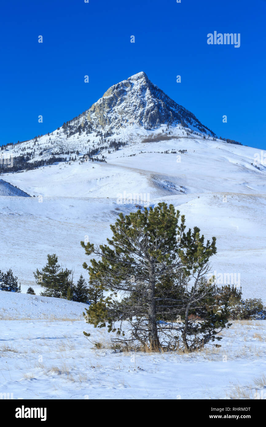 Mt d8503 hi-res stock photography and images - Alamy