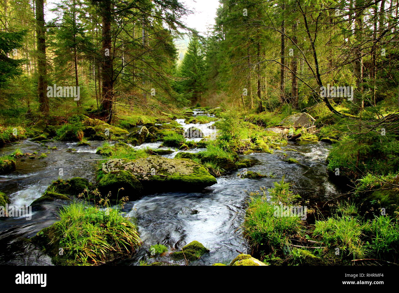 Black forest mountain hi-res stock photography and images - Alamy