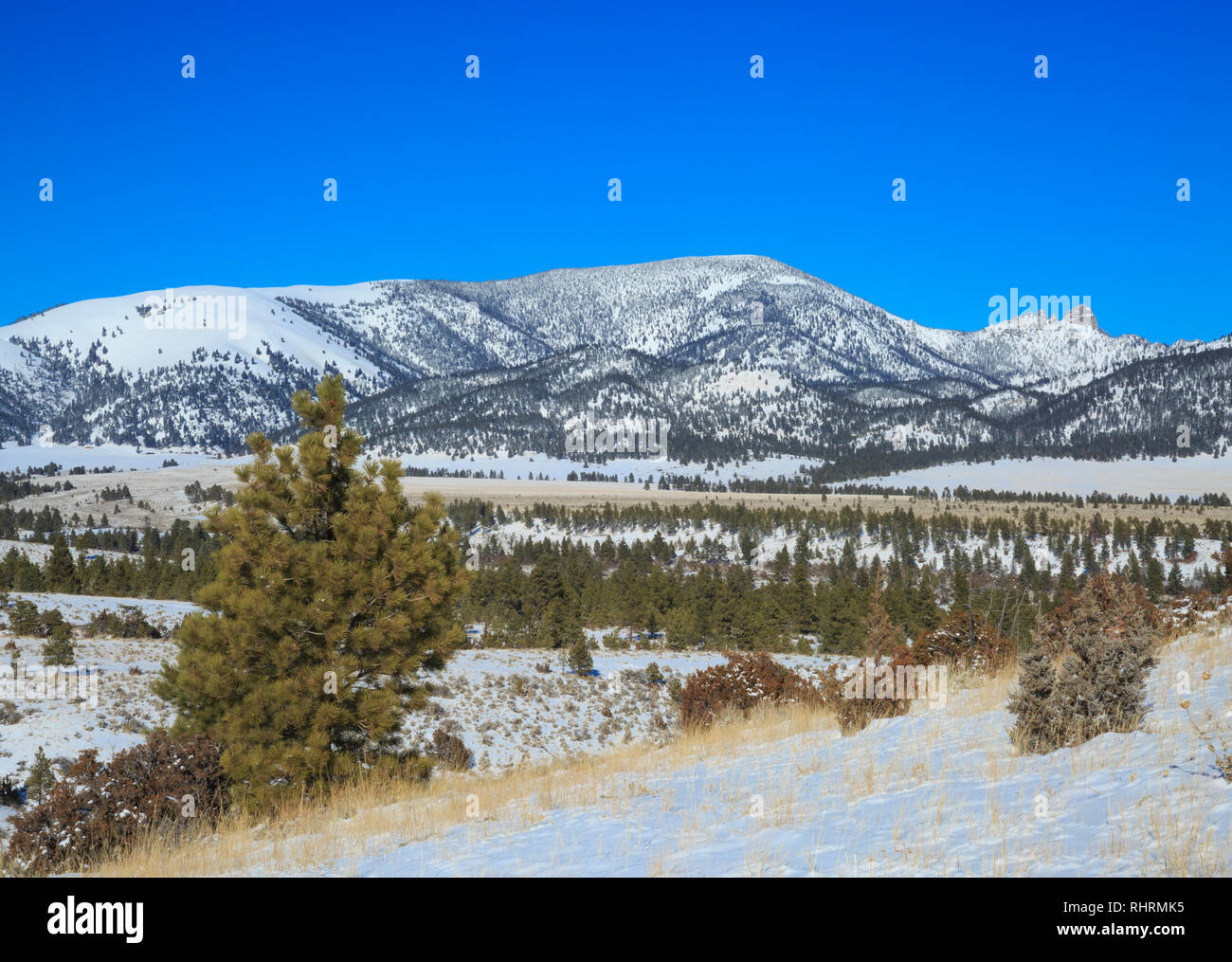 sleeping giant mountain in winter near helena, montana Stock Photo - Alamy