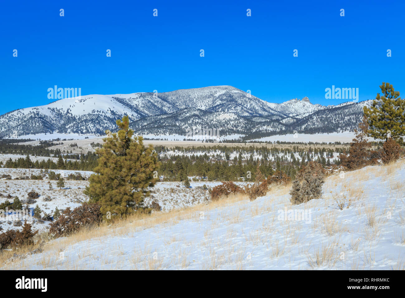 sleeping giant mountain in winter near helena, montana Stock Photo - Alamy