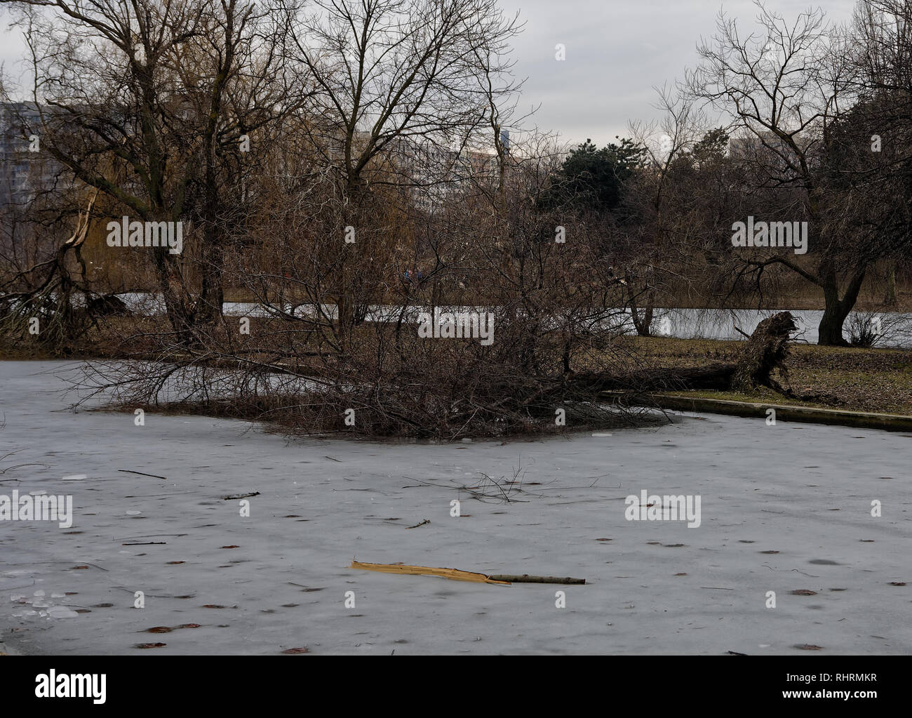 IOR park in Bucharest, Romania, after a bad spell of freezing rain ...