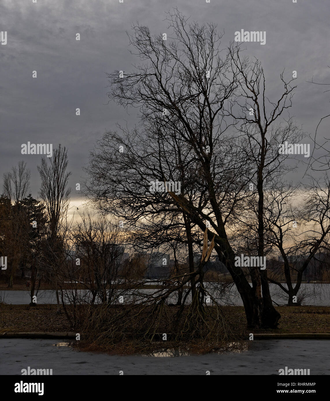 IOR park in Bucharest, Romania, after a bad spell of freezing rain ...