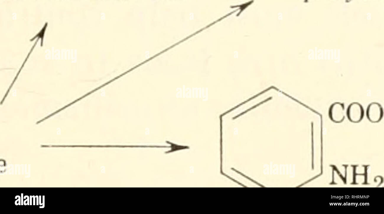 Prephenic acid hi-res stock photography and images - Alamy