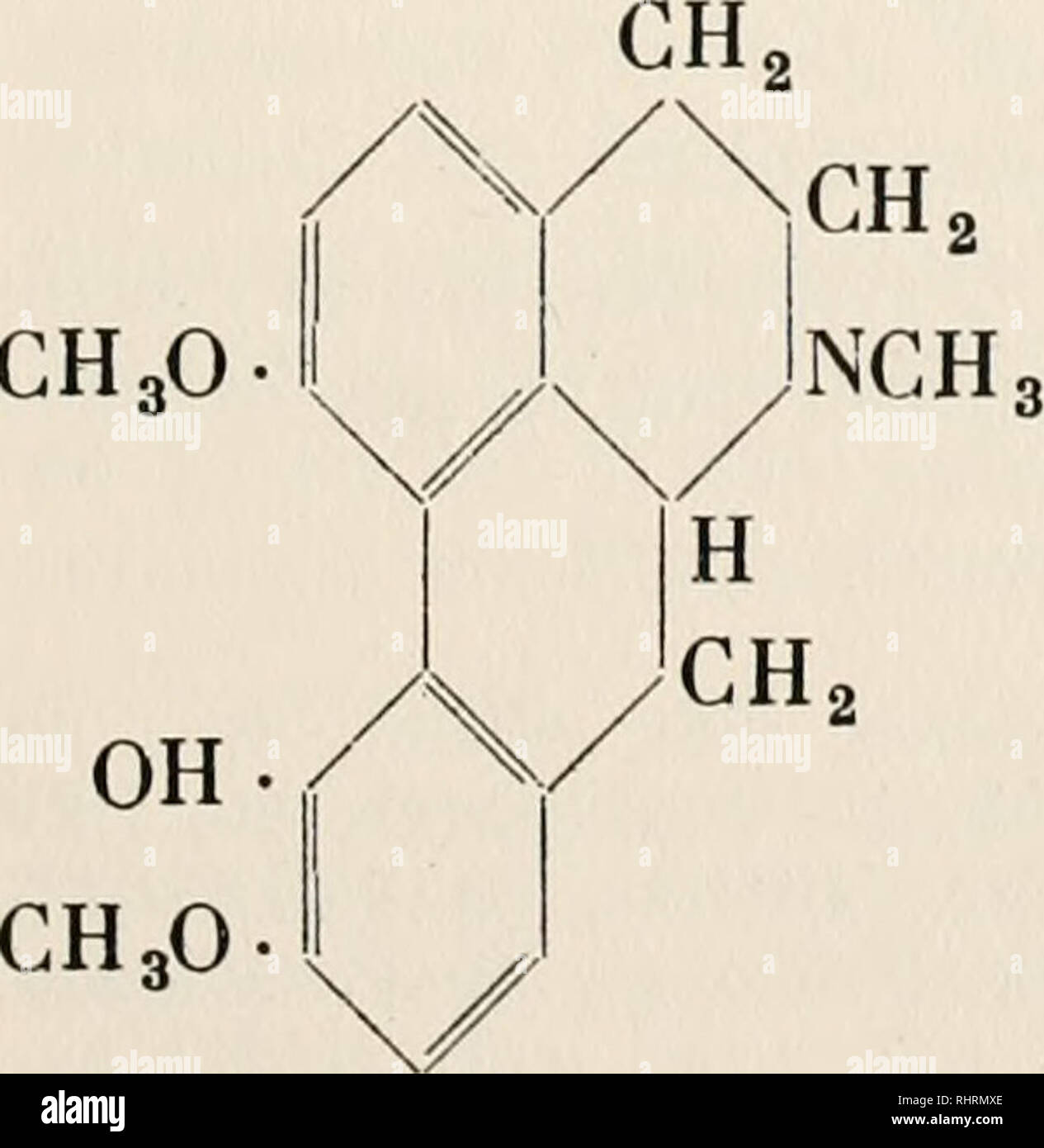 Uber den klee hi-res stock photography and images - Alamy