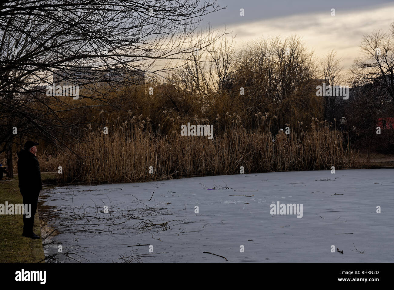 IOR park in Bucharest, Romania, after a bad spell of freezing rain ...