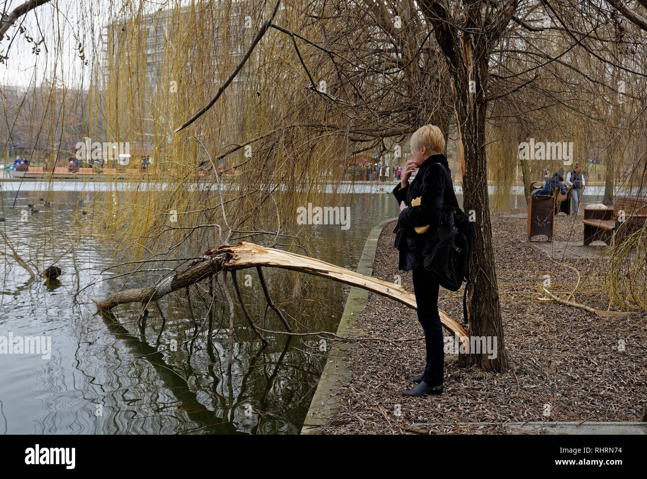 IOR park in Bucharest, Romania, after a bad spell of freezing rain ...