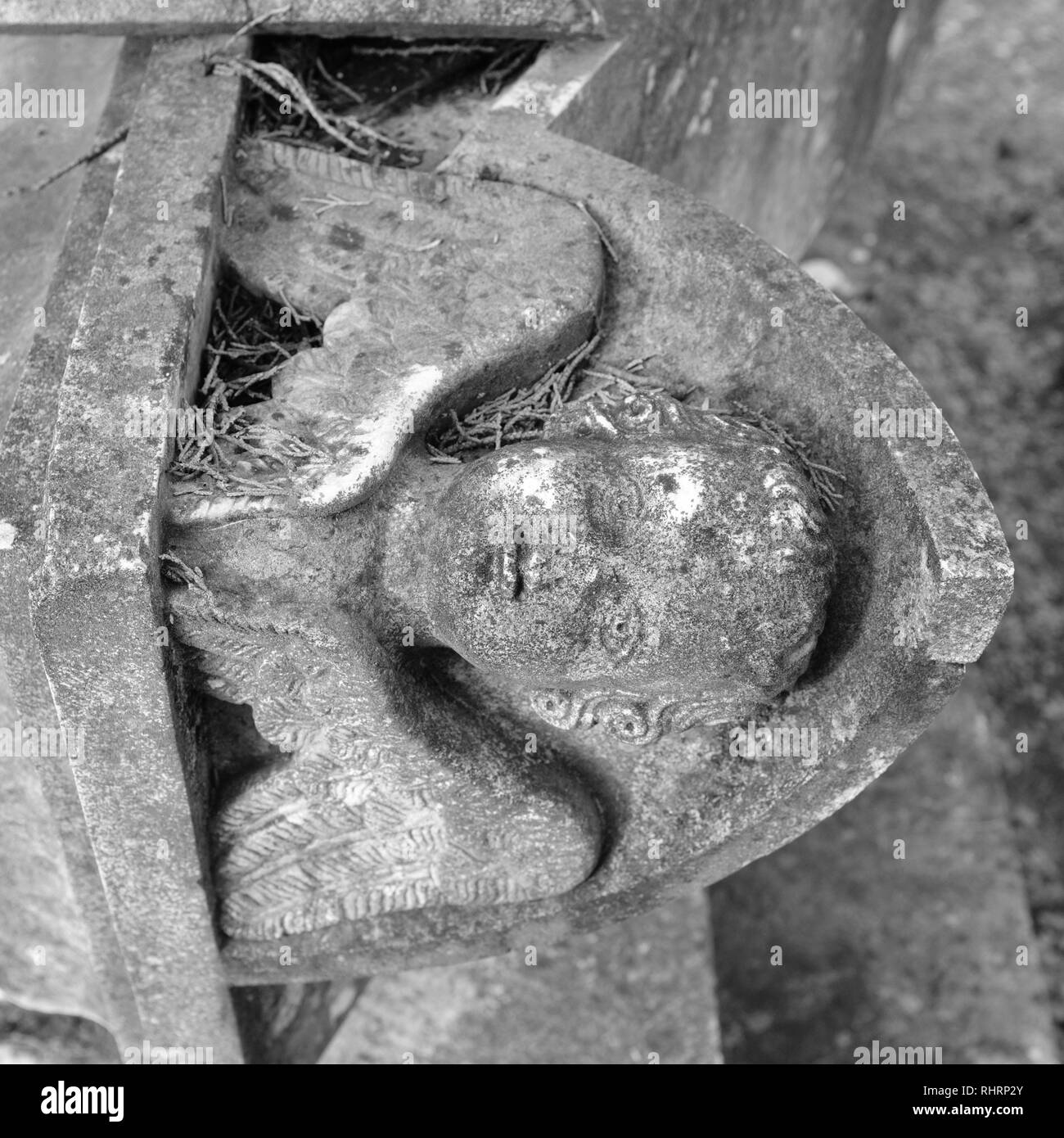 Cemetery Lisbon Portugal Angels headstones graves cats gravestones ...