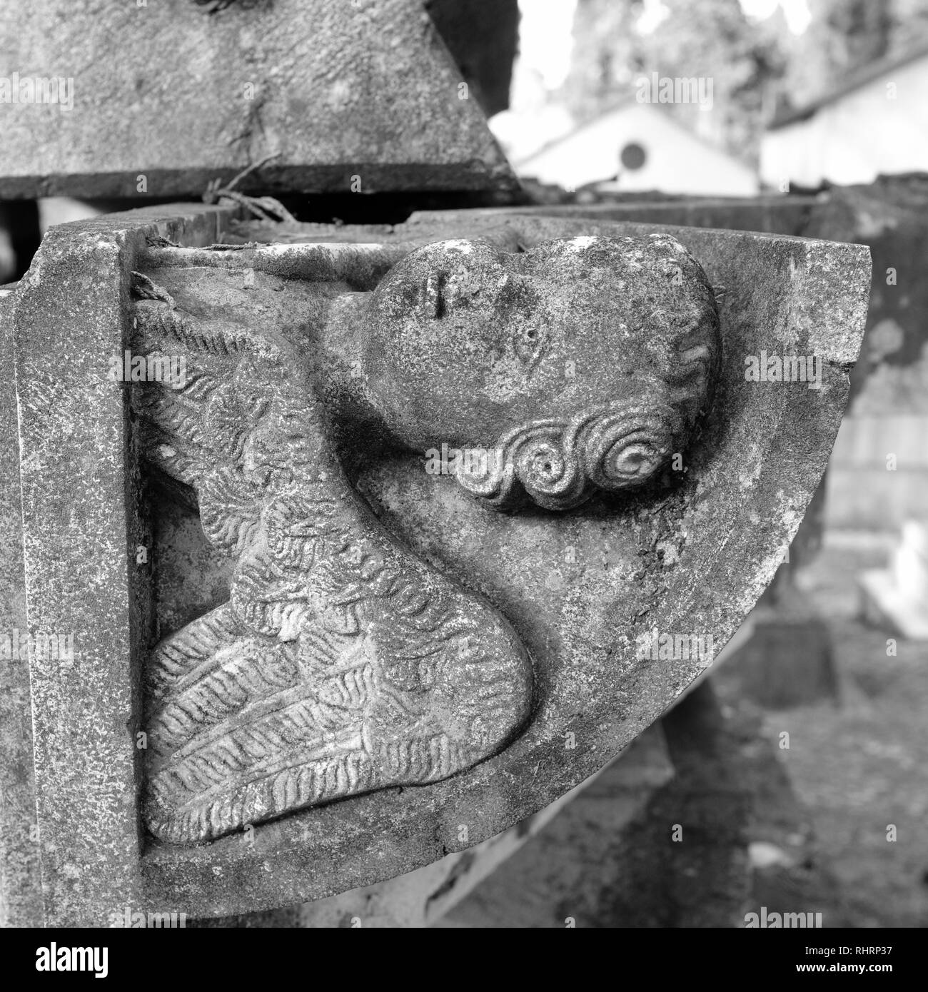 Cemetery Lisbon Portugal Angels headstones graves cats gravestones ...