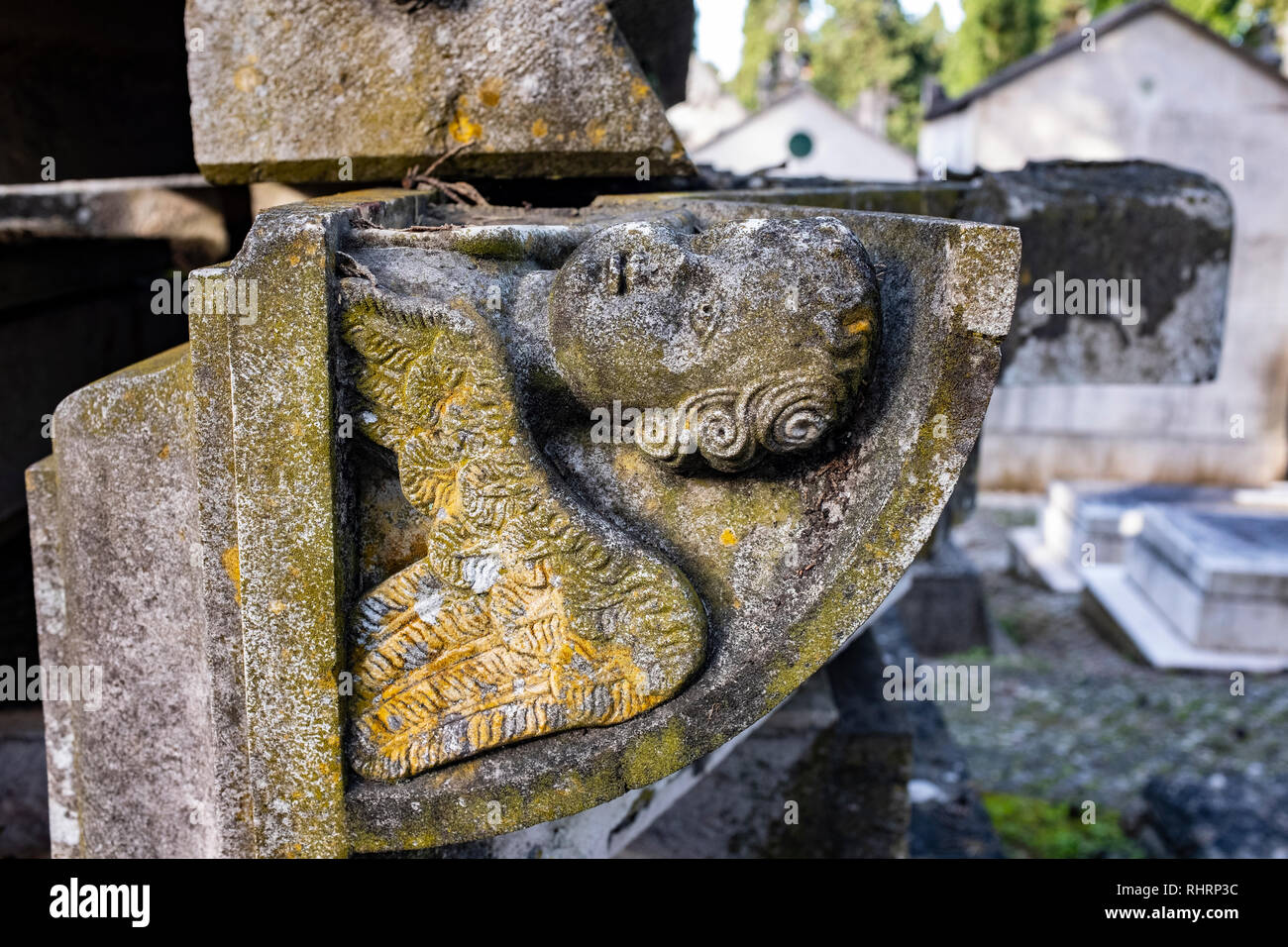 Cemetery Lisbon Portugal Angels headstones graves cats gravestones ...