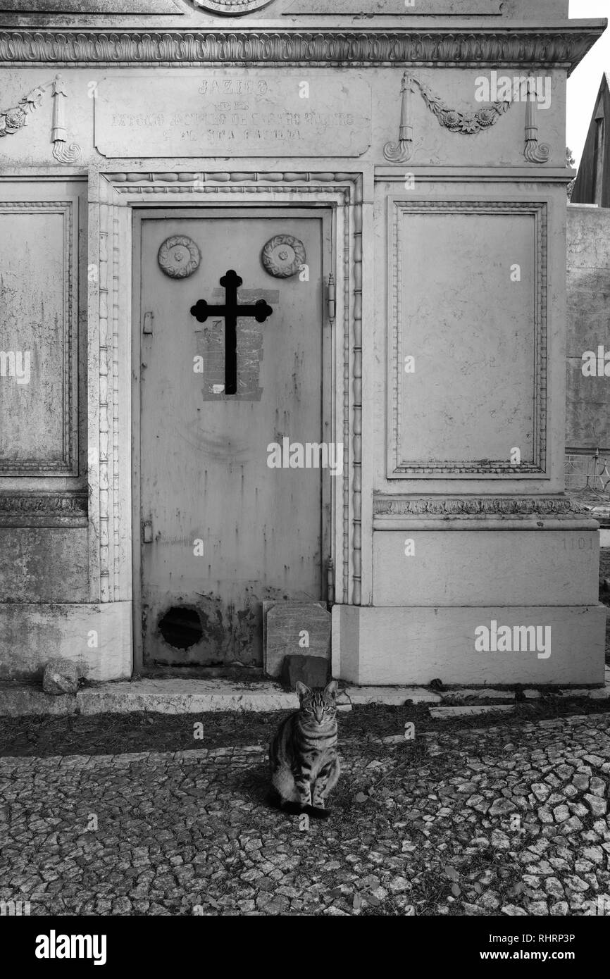 Cemetery Lisbon Portugal Angels headstones graves cats gravestones ...