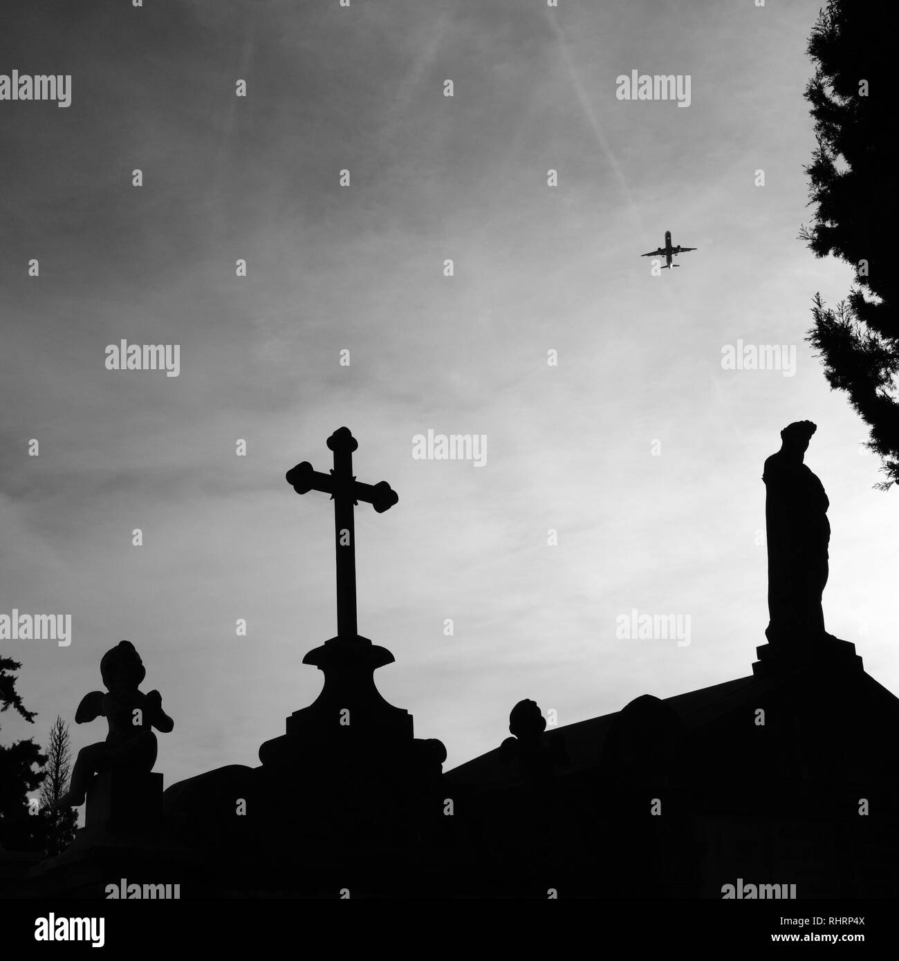 Cemetery Lisbon Portugal Angels headstones graves cats gravestones ...