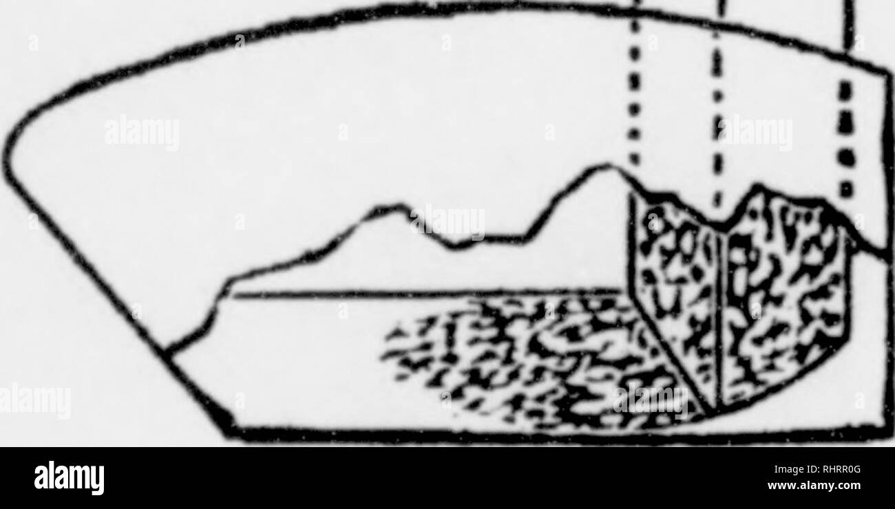 Food troughs Black and White Stock Photos & Images - Alamy