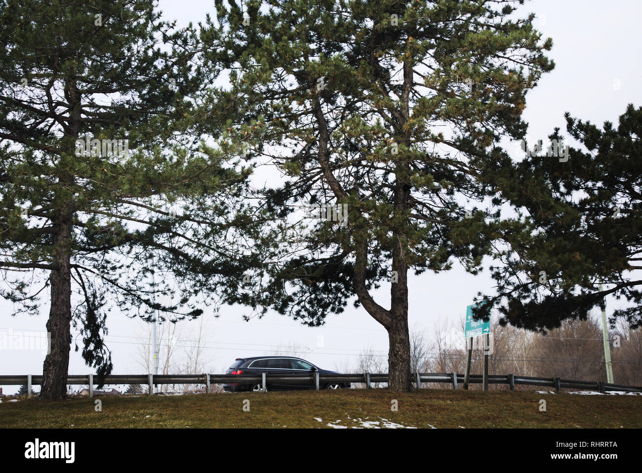 moving car and forever green trees Stock Photo - Alamy