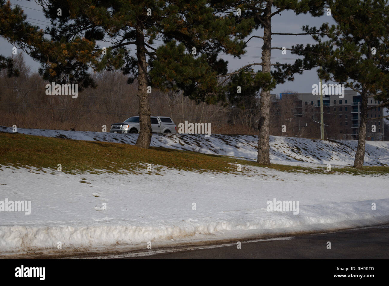 moving car and forever green trees Stock Photo - Alamy