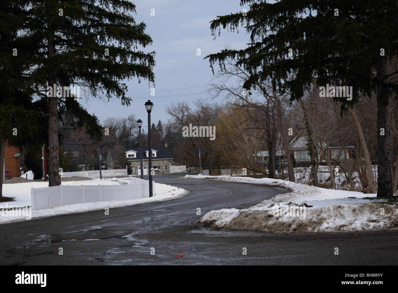 moving car and forever green trees Stock Photo - Alamy