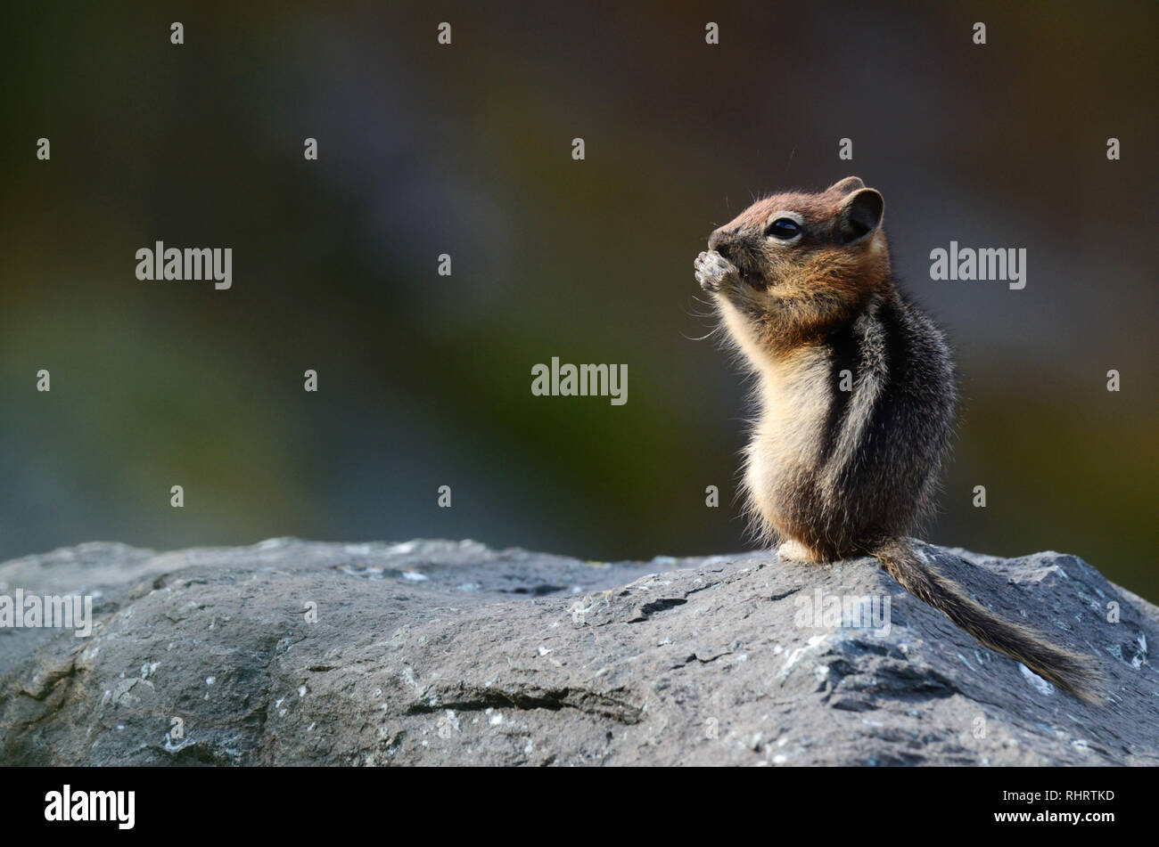 Talus slope hi-res stock photography and images - Alamy