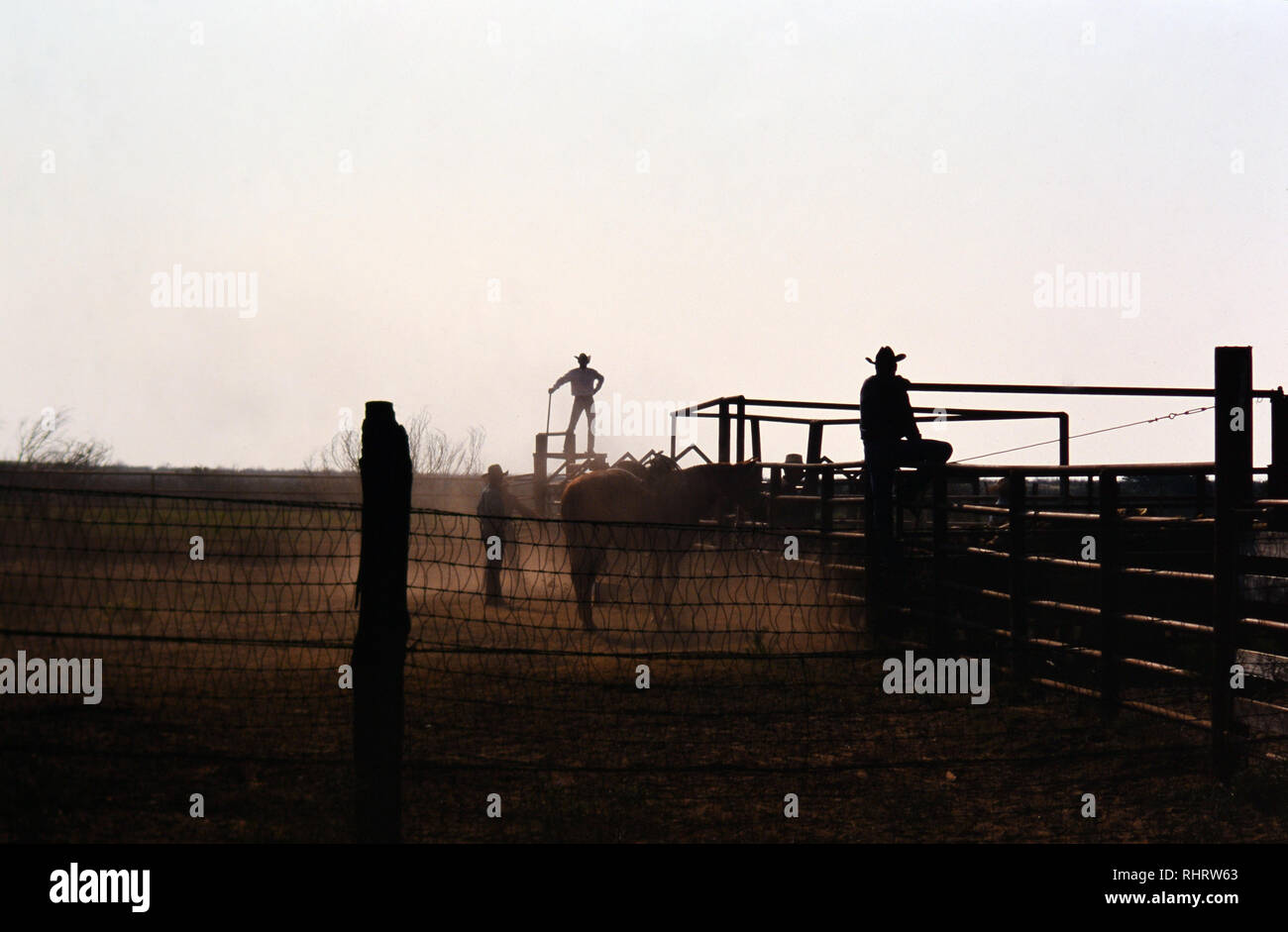 1990s texas cowboys hi-res stock photography and images - Alamy