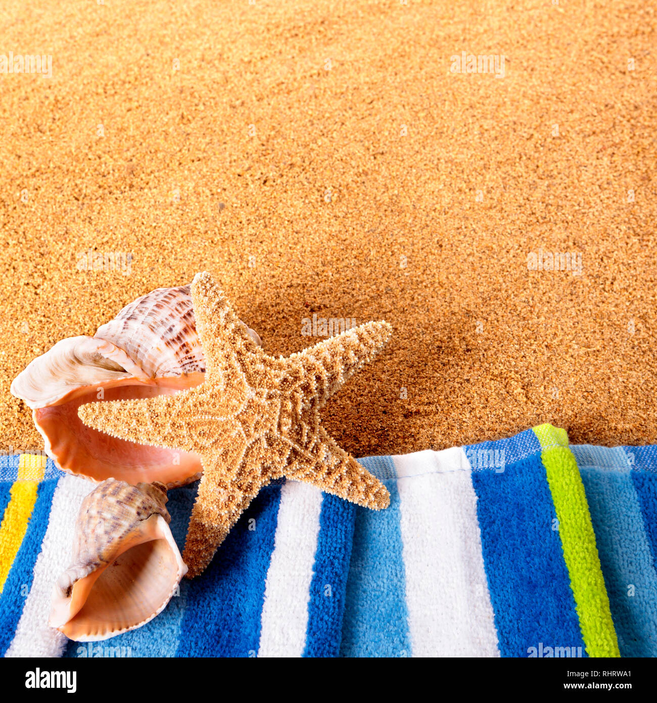 Summer beach border starfish seashore background square Stock Photo - Alamy