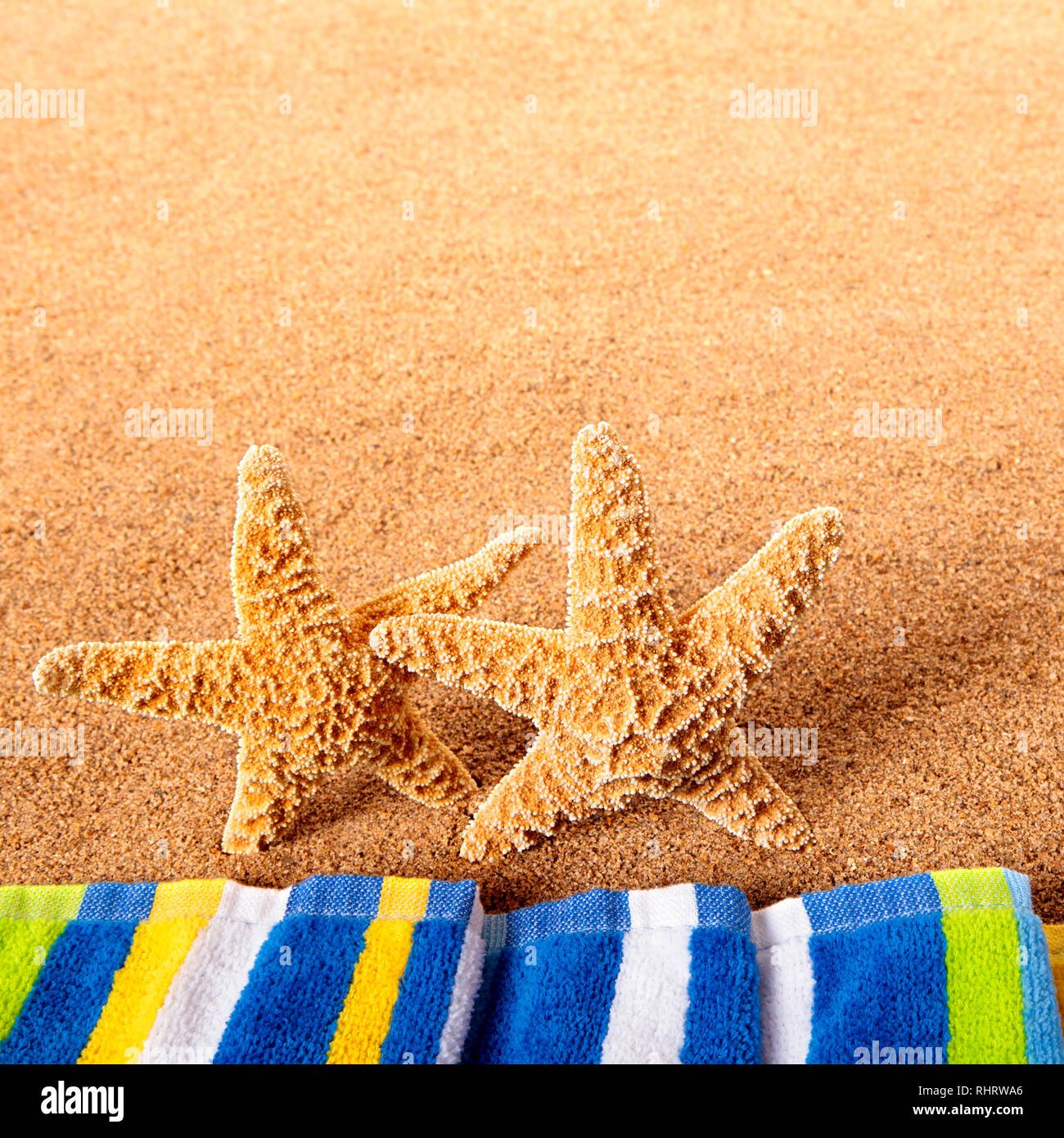 Summer beach starfish standing border square Stock Photo - Alamy