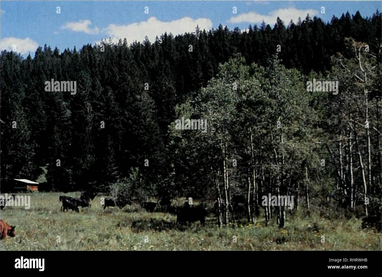 . Best management practices for grazing Montana . Grazing; Range ...