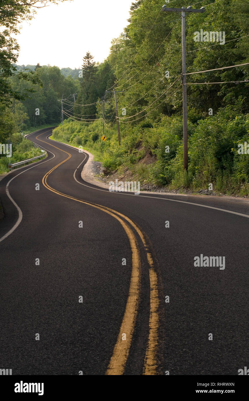 Beautiful Road with Curves in the Summer Forest Stock Photo - Alamy