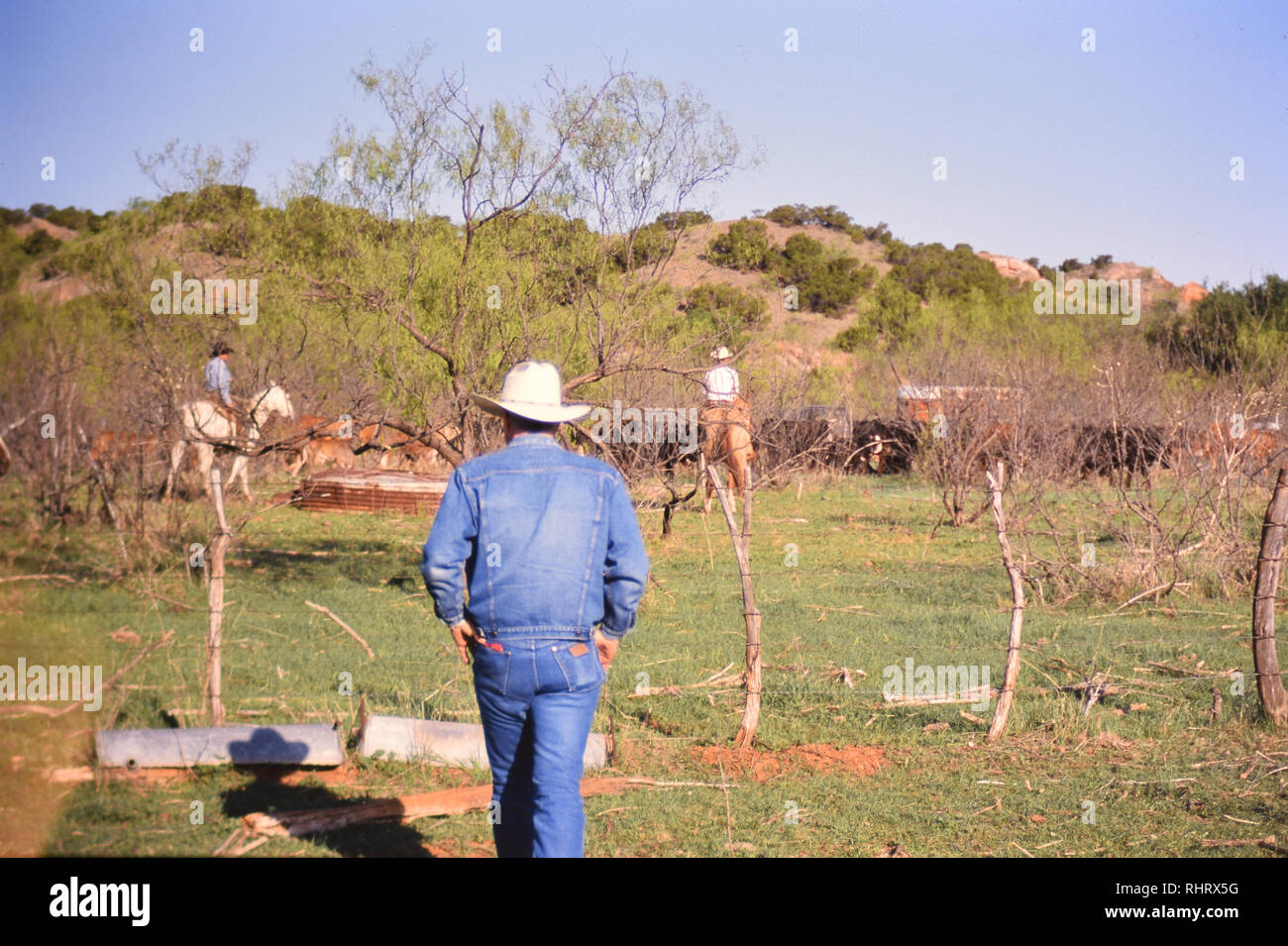 Real texan cowboys hi-res stock photography and images - Alamy
