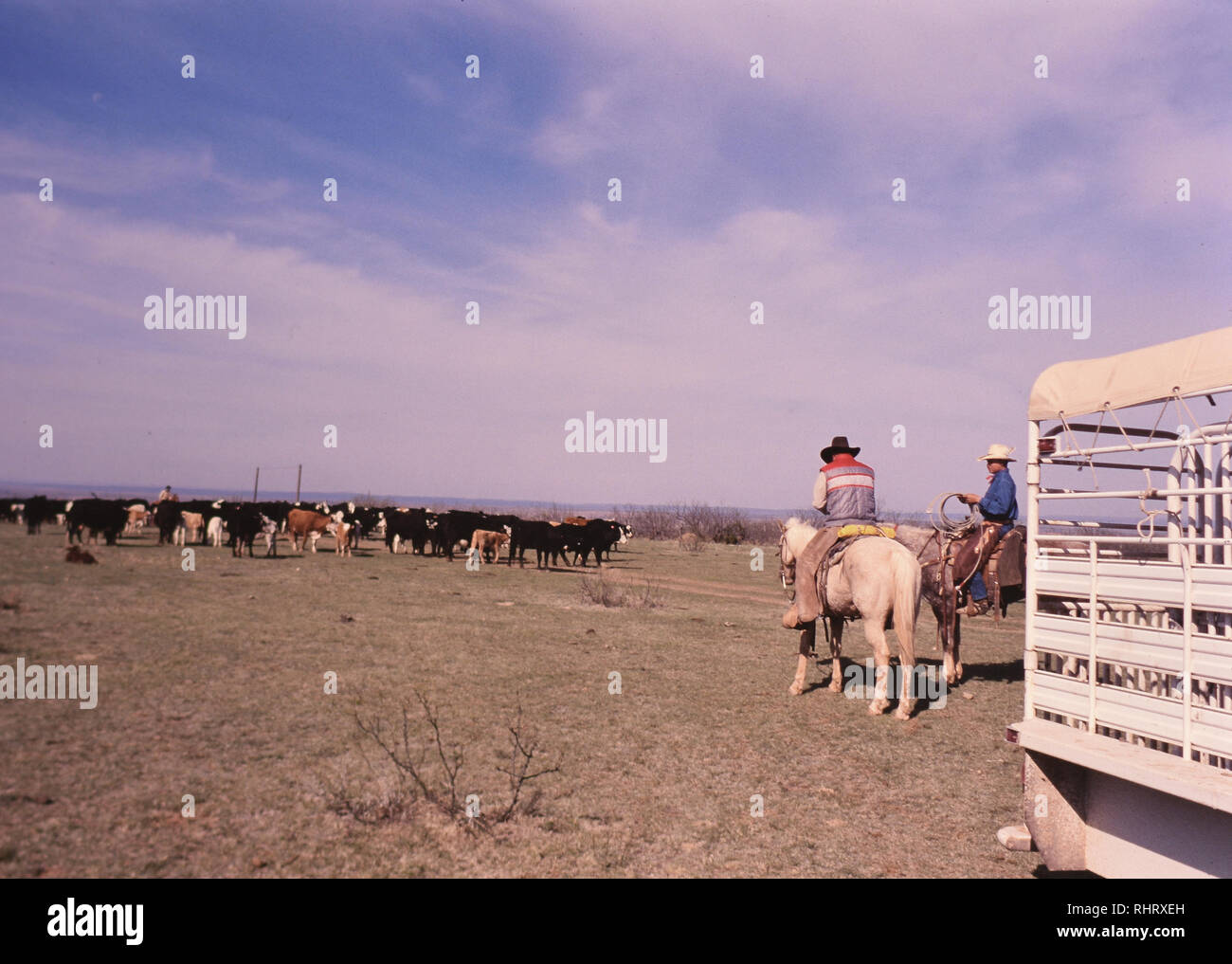 1990s texas cowboys hi-res stock photography and images - Alamy