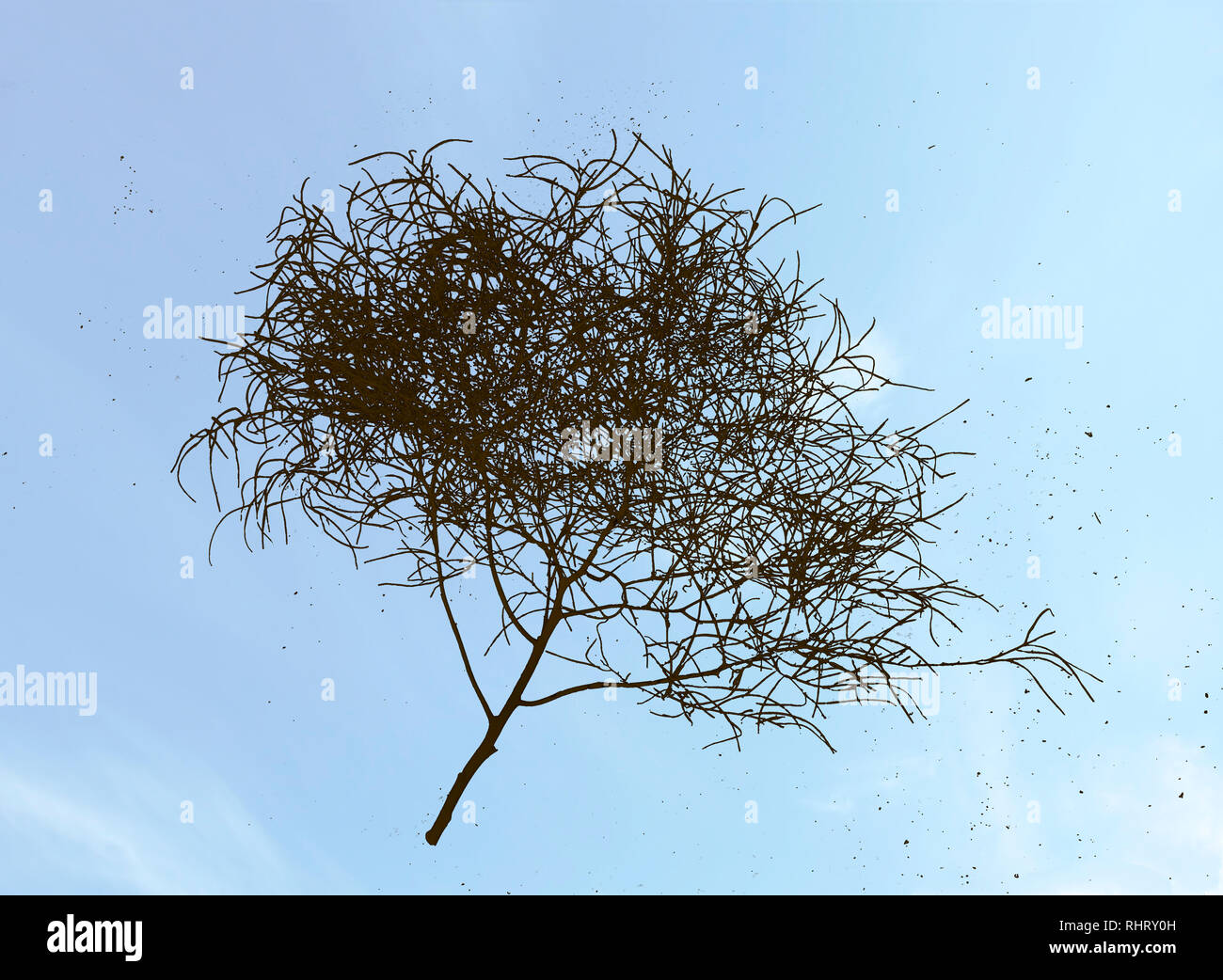 Tumbleweed isolated hi-res stock photography and images - Alamy