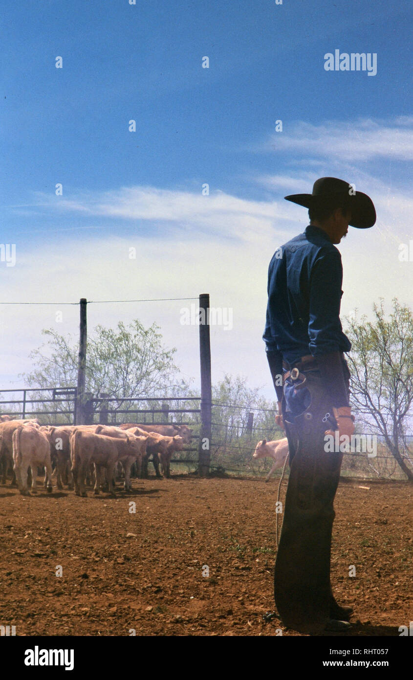 Real texan cowboys hi-res stock photography and images - Alamy