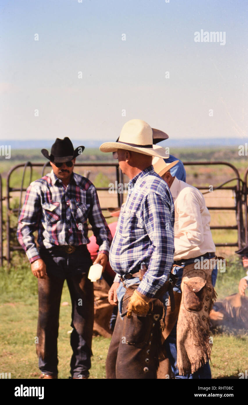 Cowboys talking during a spring branding Stock Photo - Alamy