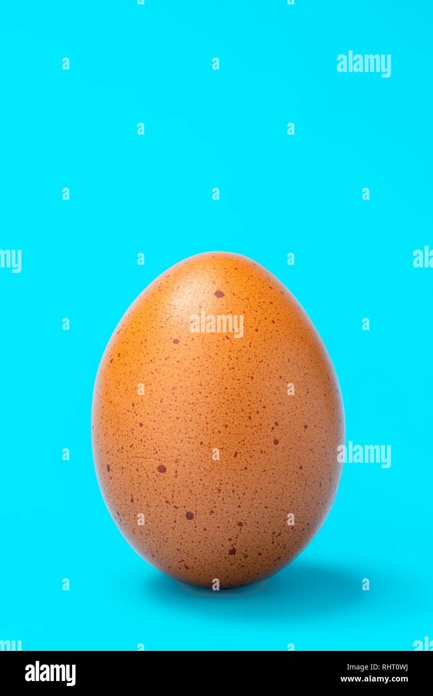 Single speckled brown egg on complementary blue background Stock Photo ...