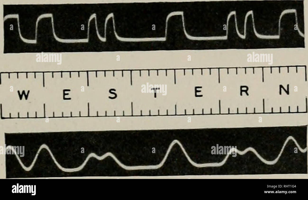 . The Bell System technical journal. Telecommunication; Electric ...