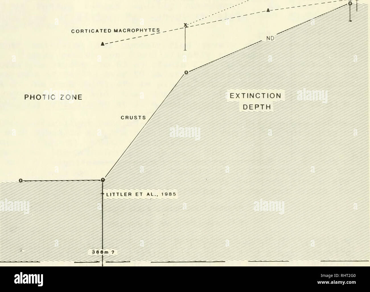 Photic hi-res stock photography and images - Alamy