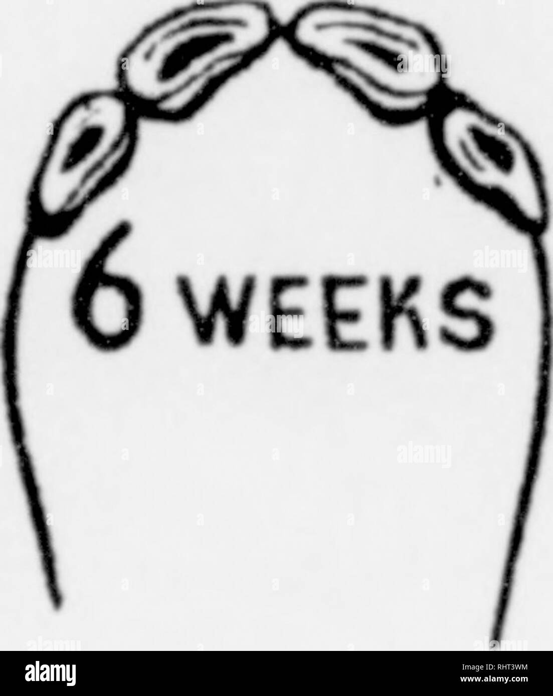 Stigar hi-res stock photography and images - Alamy