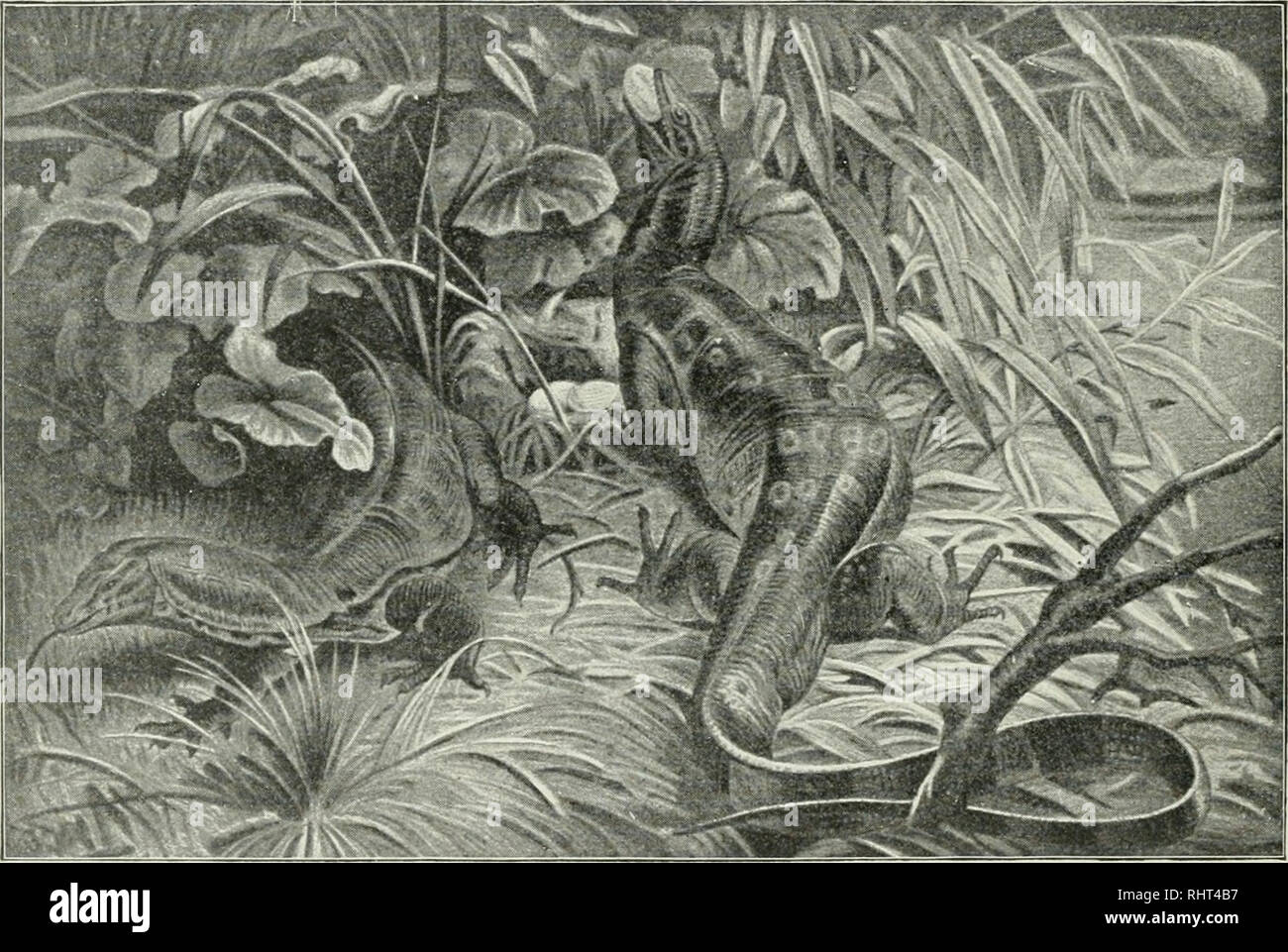 Inappropriate appearance hi-res stock photography and images - Alamy