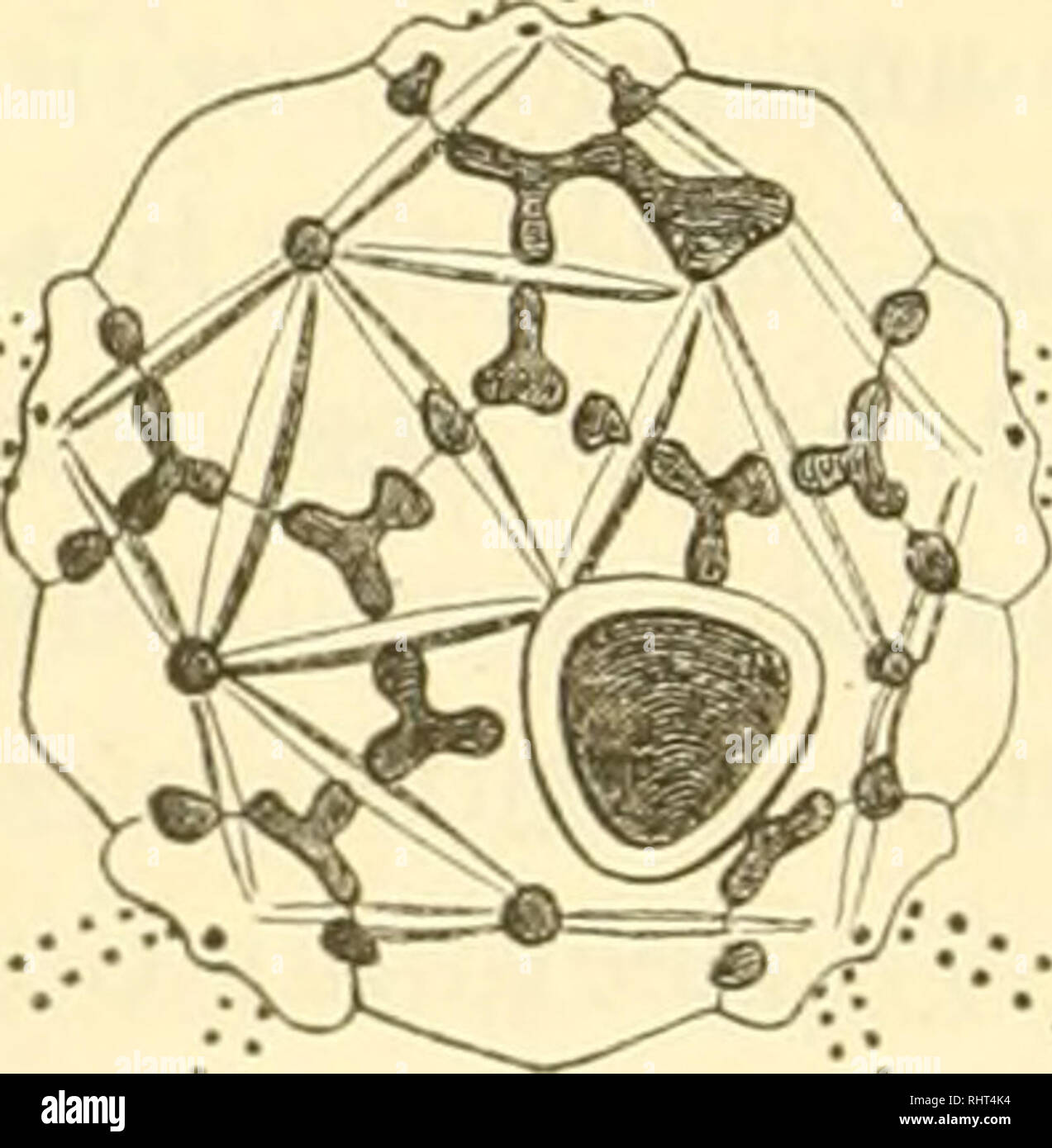 Co louring hi-res stock photography and images - Alamy