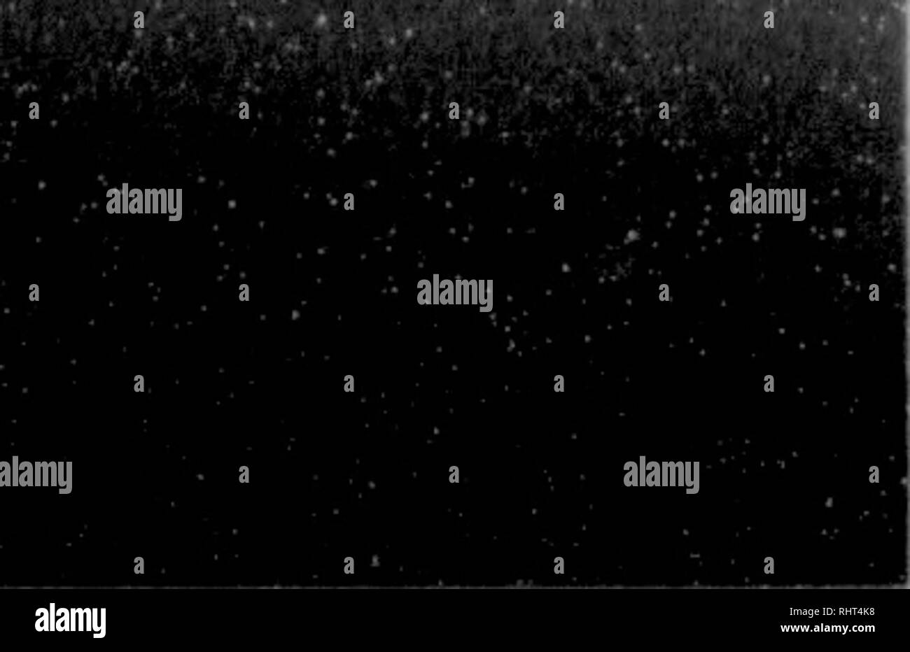 . Biggle horse book. Horses. w 68 AILMENTS AND REMEDIES CONTINUED ...