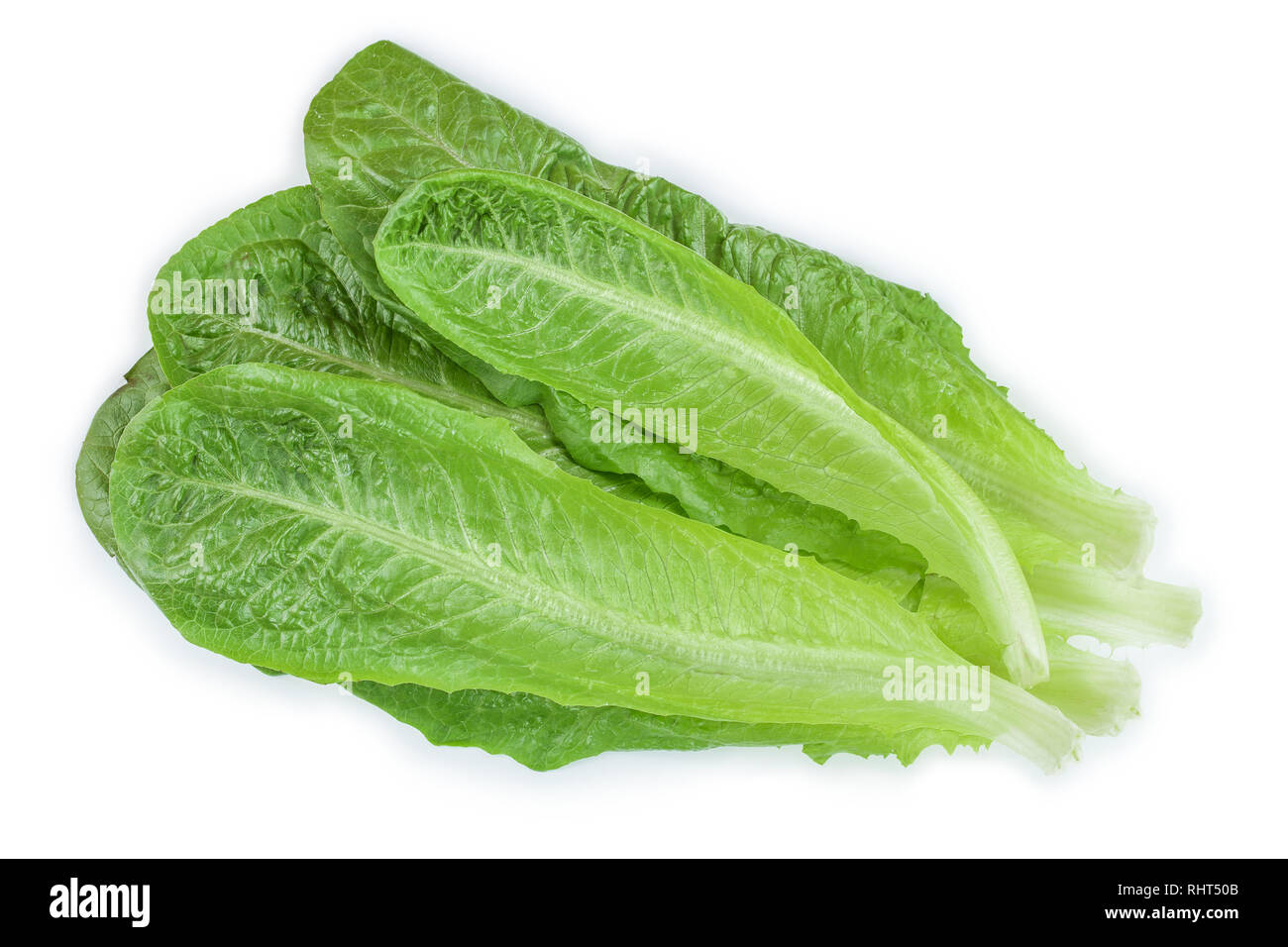 Roman lettuce hi-res stock photography and images - Alamy