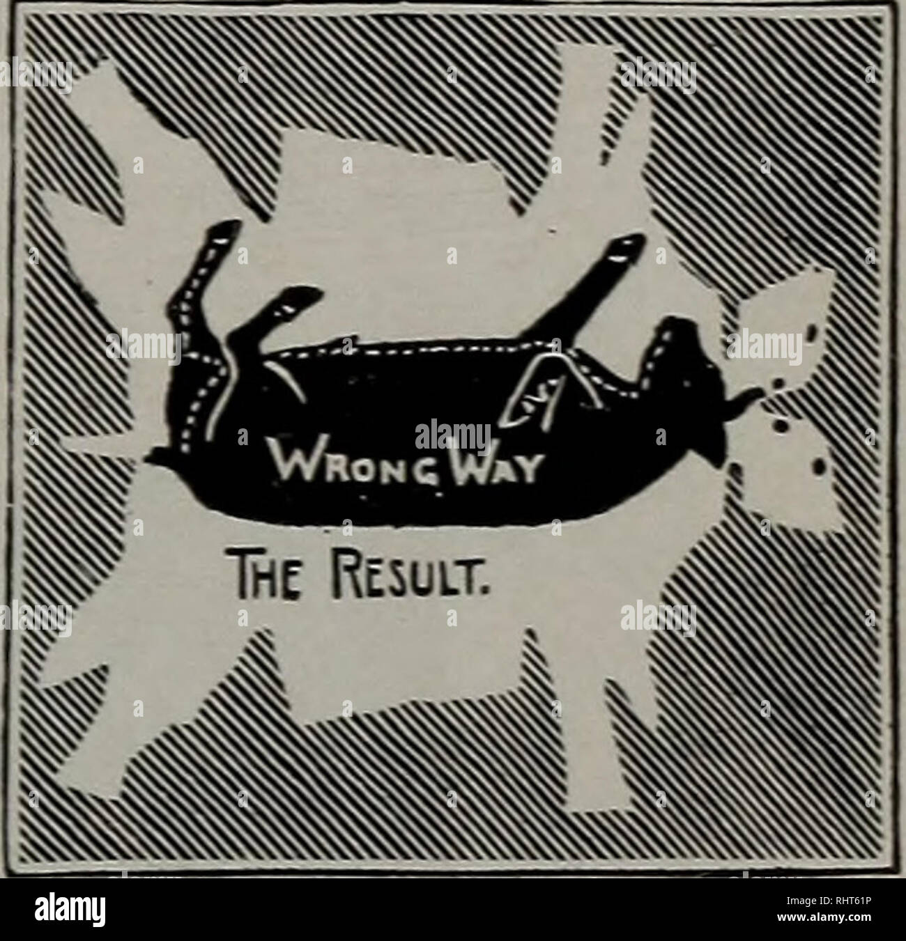 . Biggle cow book; old time and modern cow-lore rectified, concentrated ...